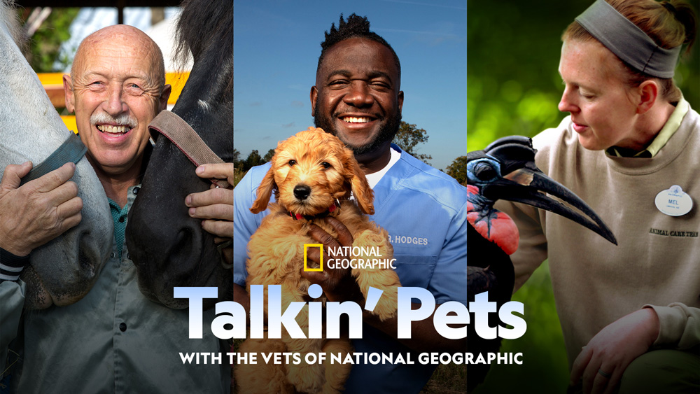Catch Tamron at D23 Expo! – Tamron Hall Show